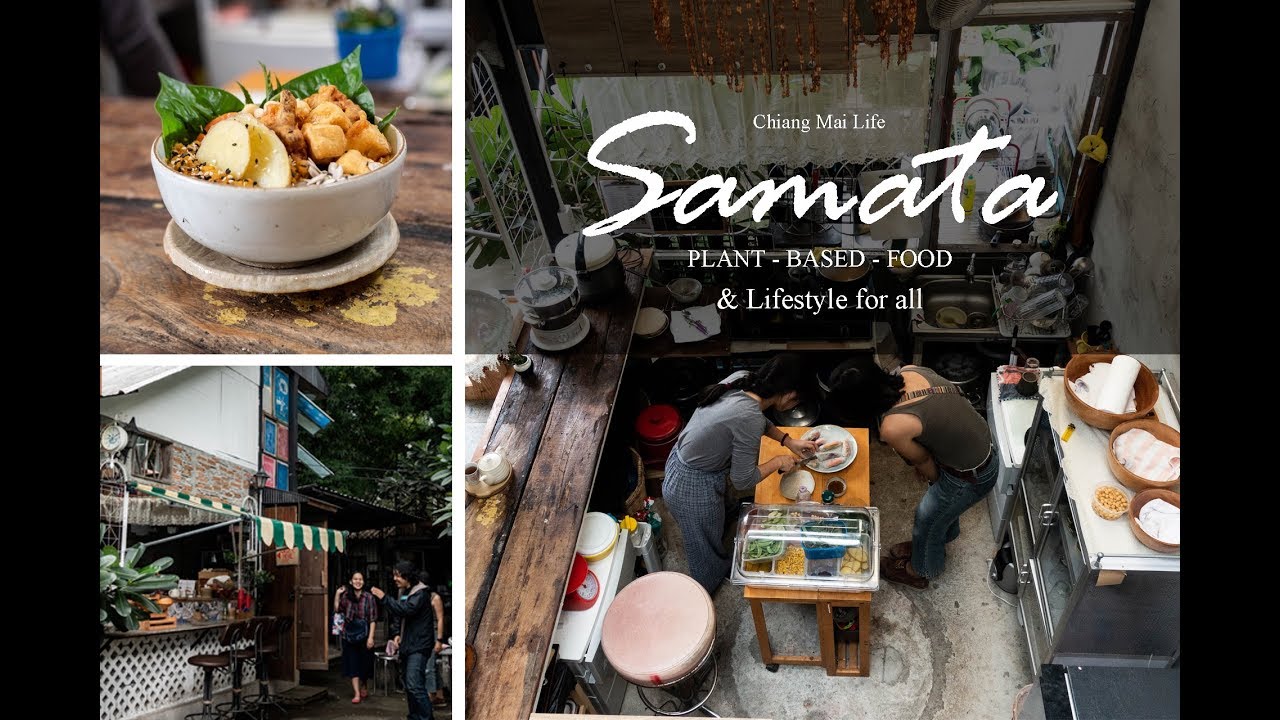 SAMATA มังสวิรัติเปลี่ยนโลก ของร้านเล็กในซอยไม่ลึก กลางเมืองเชียงใหม่ ...