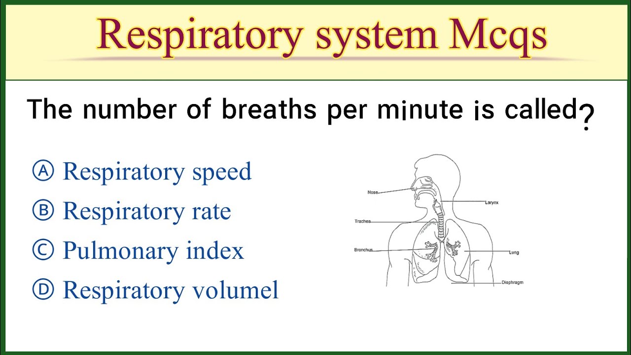 Respiratory system mcq | mcqs on respiratory system | biology gk for ...