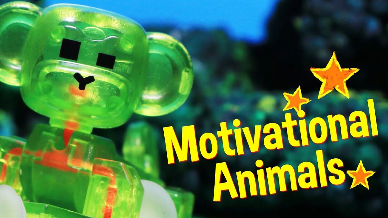Motivational Animals | Stikbot Central Originals - YouTube