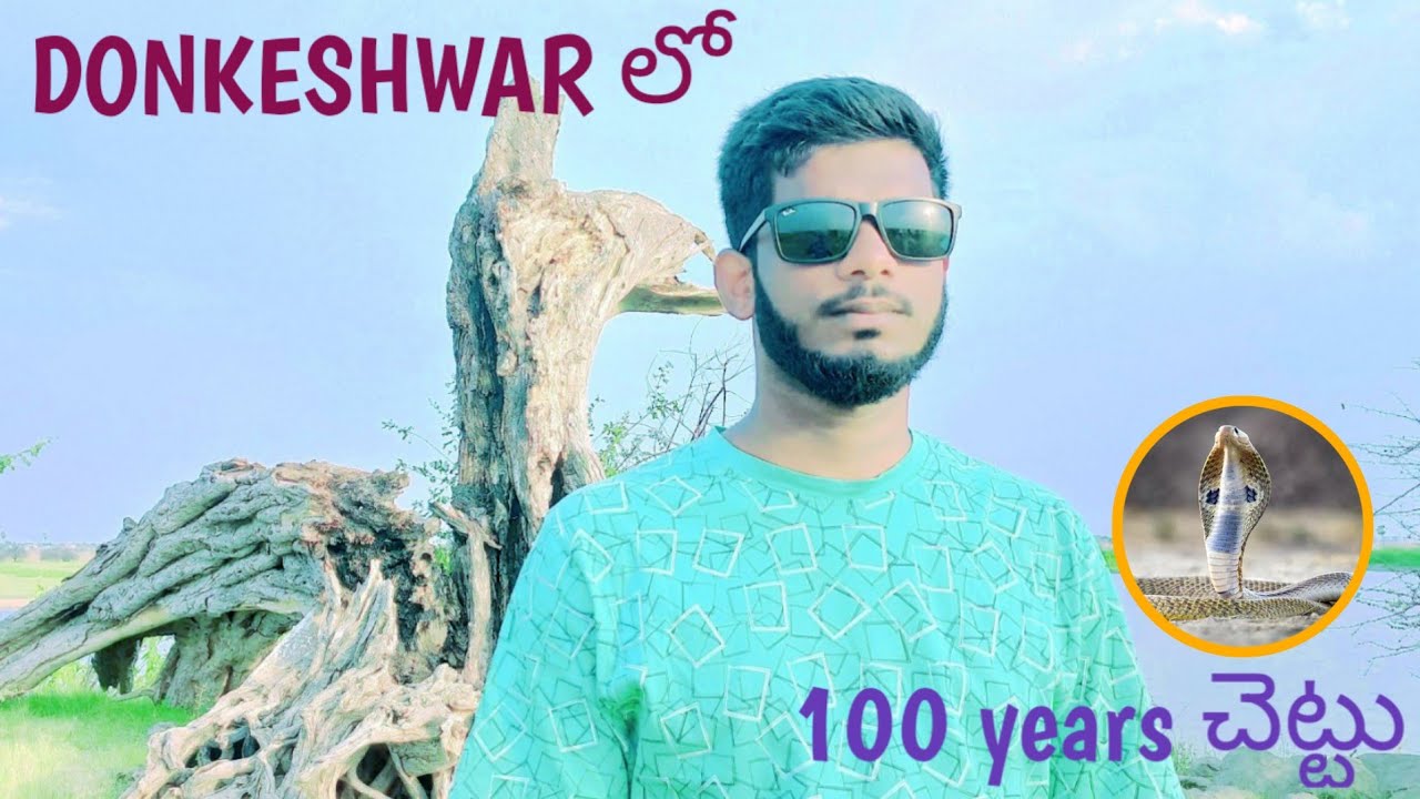 Exploring History: The Legacy of Naga Amma Tree in 100 Years@prashu223 ...