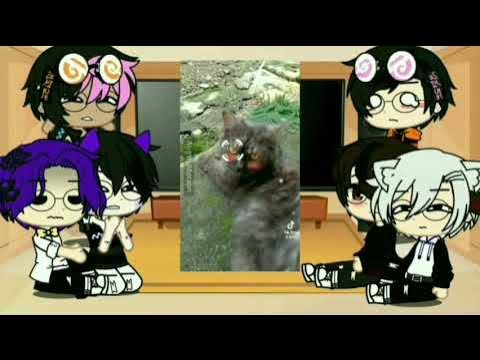 👻[]YeosM characters react to [] Pur × Bay [] Boy love [] Part 4 []👻 - YouTube