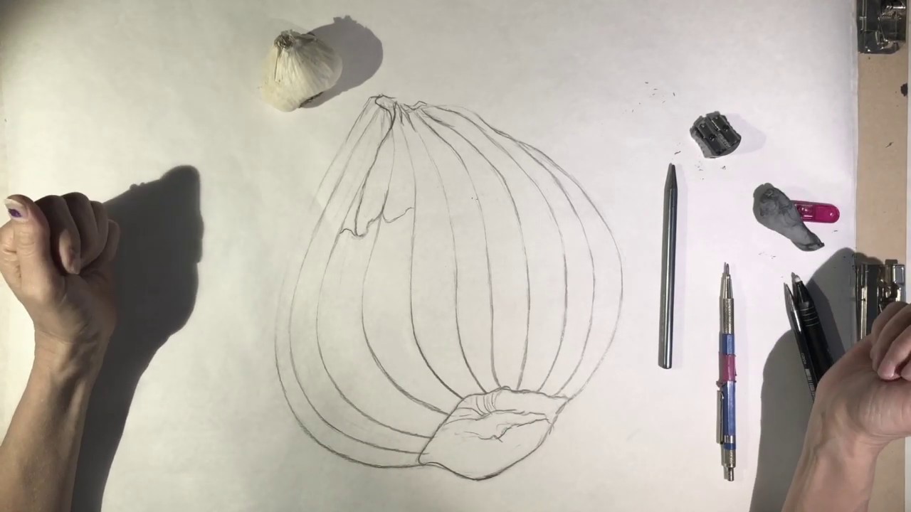 Drawing Contour Lines with Varying Line Weights. - YouTube