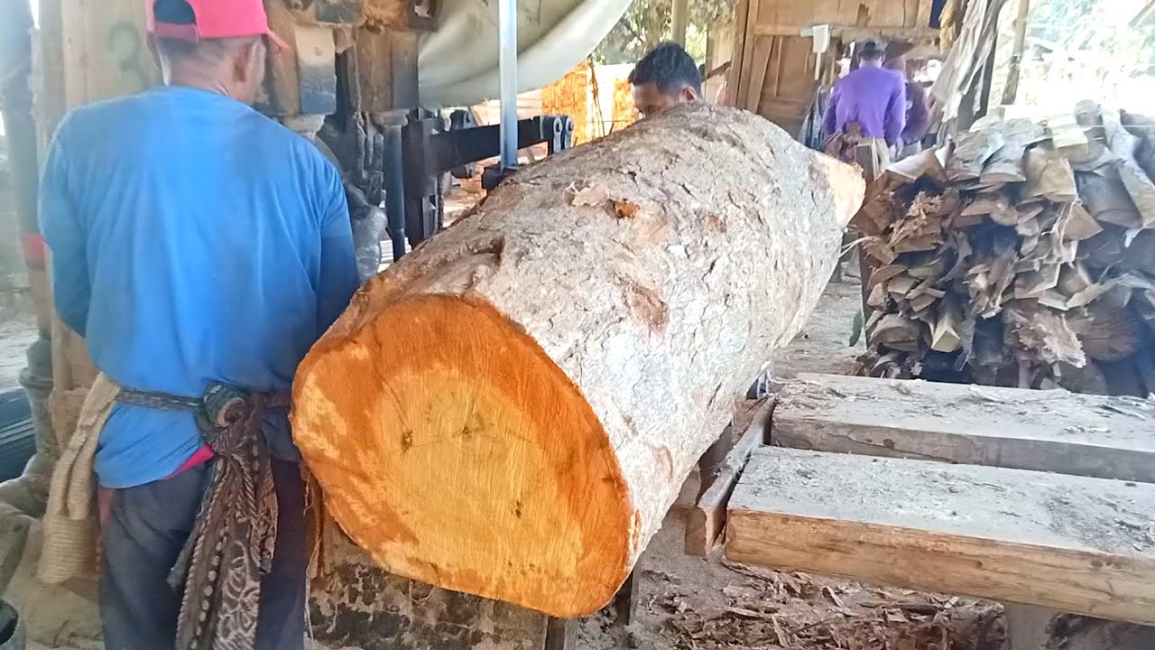 Kayu Medang - YouTube