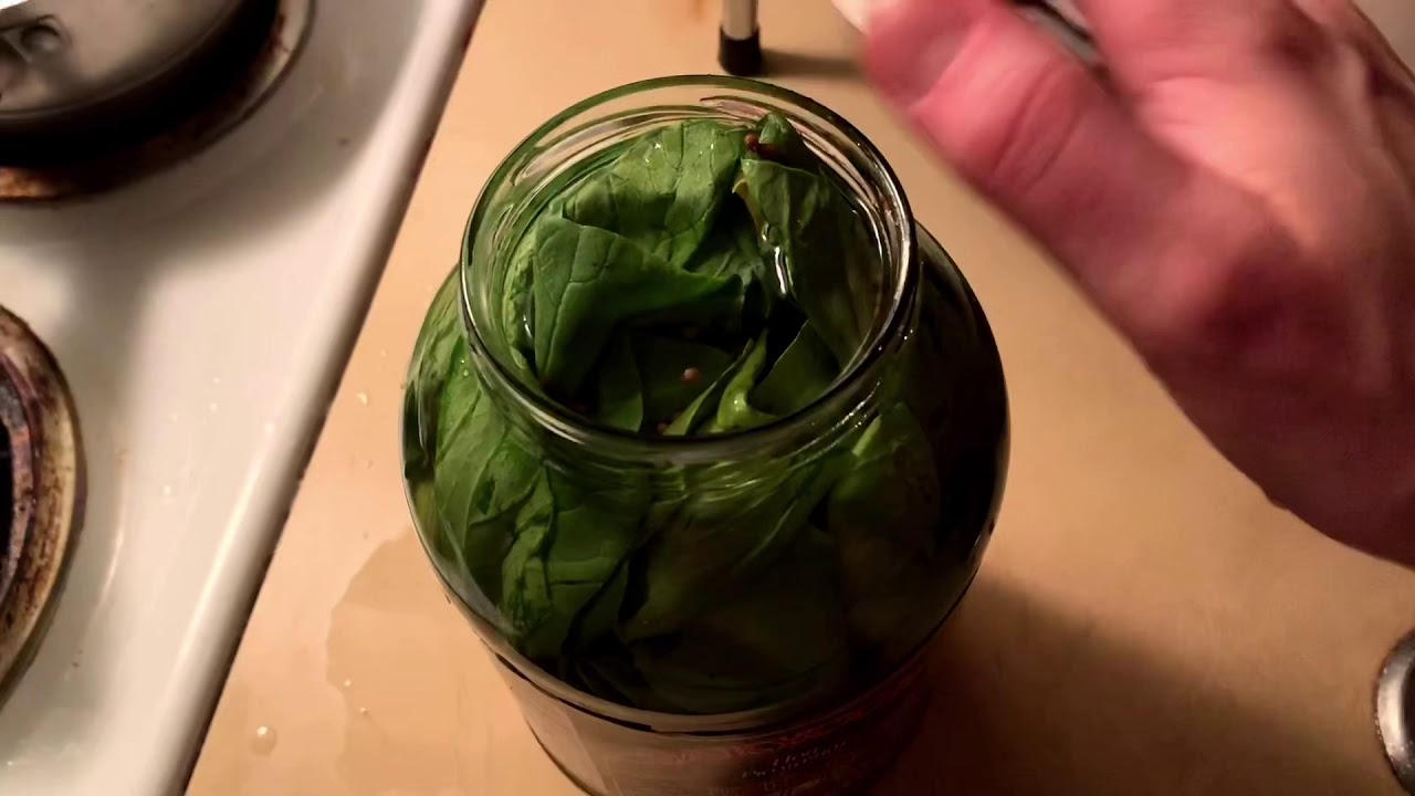 PICKLED BOK CHOY RECIPE. Light house oil painting ⭐️ - YouTube