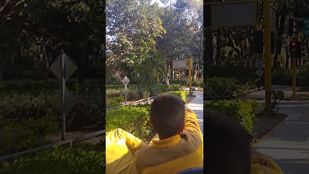 Un día en el parque - YouTube