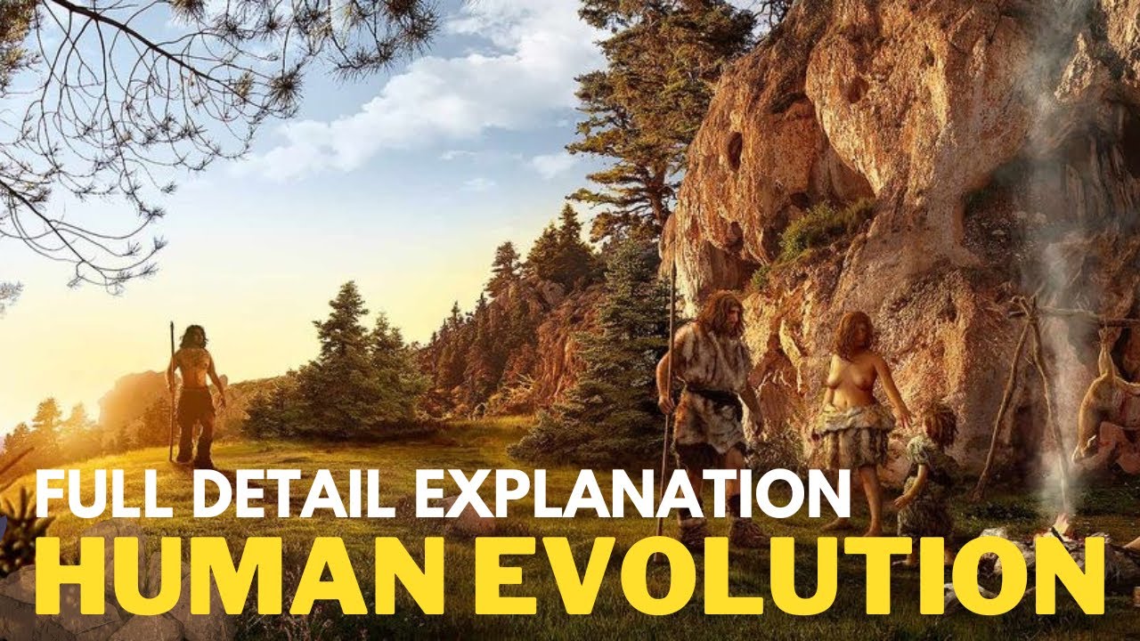 Human Evolution | How Human Evolution Started - YouTube