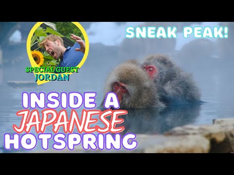 How to bathe in a Japanese Onsen (Public Bath) ft. @jordansjapanlife4755 [RARE FOOTAGE!]