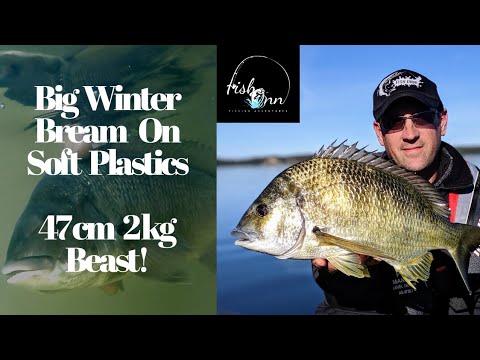 Big Winter Bream On Soft Plastics (47 cm 2 kg Beast!) - YouTube