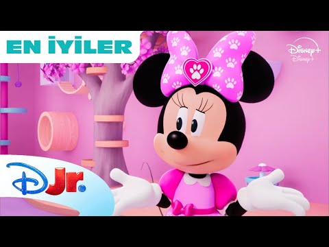 Minnie ve Sofia’nın Evcil Hayvanları | Mickey Mouse Eğlence Evi | @DisneyPlusTR