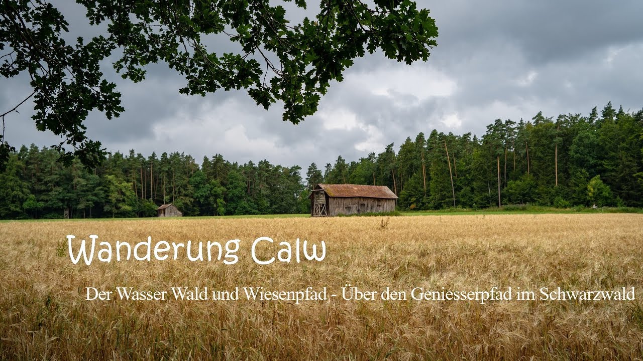 Wanderung Calw - Wasser Wald und Wiesenpfad im Schwarzwald - YouTube