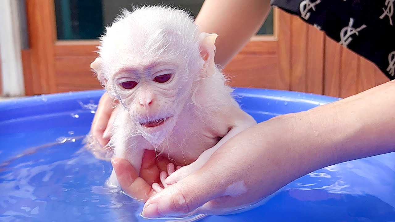 It's Amazing How Ruby Deals With The Heat - YouTube