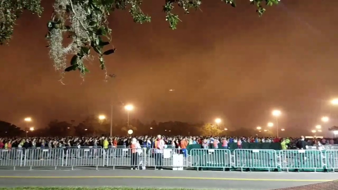 Debi: Disney Half Marathon - YouTube