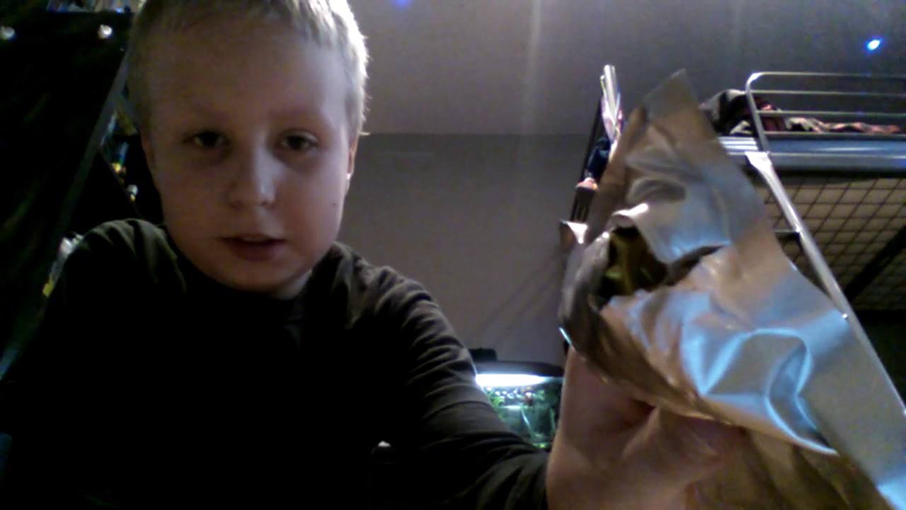 Life element collection skylanders - YouTube