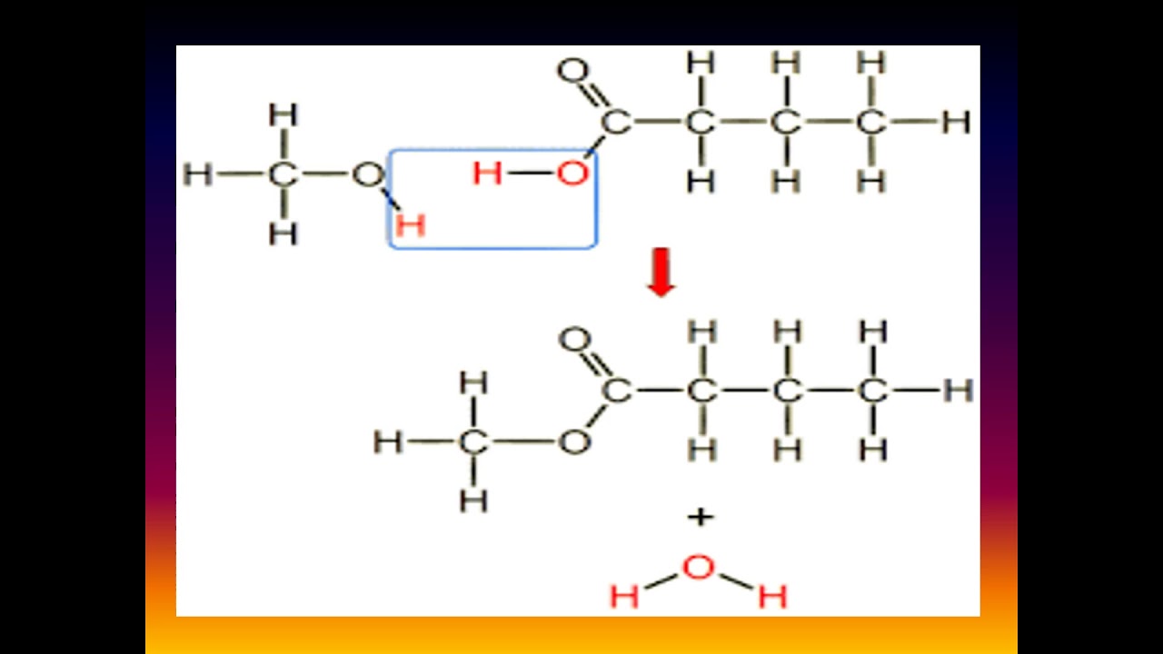 Belangrike reaksies van organiese verbindings-Graad 12- Chemie - YouTube