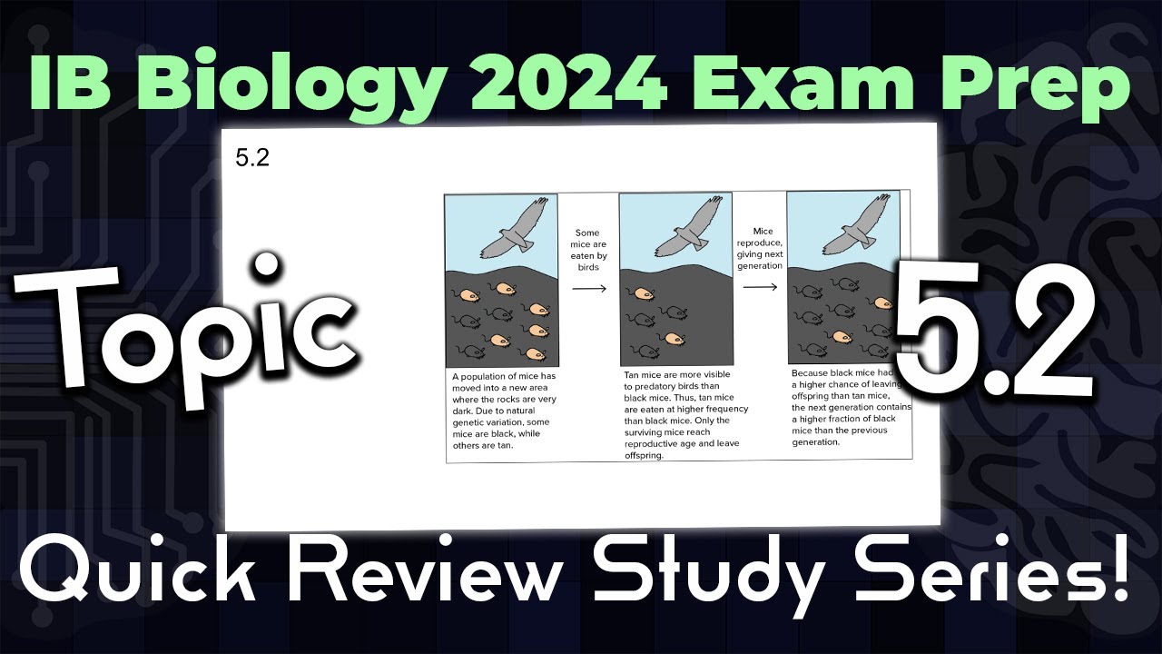 [OLD2016] IB Bio 2024 QUICK REVIEW - Topic 5.2: Natural Selection - YouTube