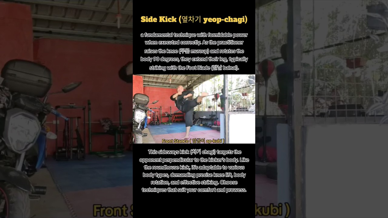 Side Kick (옆차기 yeop-chagi) TAEKWONDO - YouTube
