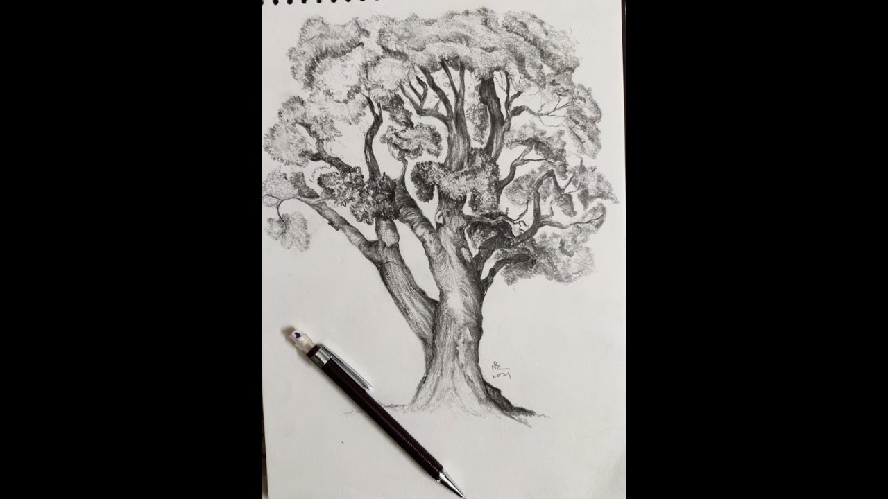TREE PENCIL SHADING - YouTube
