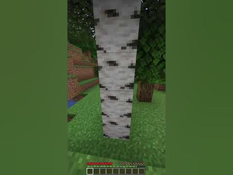 How to punch a birch wood tree in minecraft - YouTube