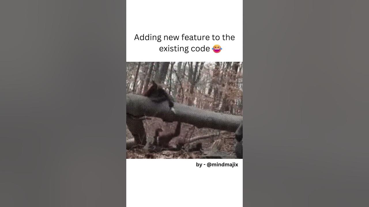 Adding New Feature to Existing Code Be Like 😂 #developermemes #codingmemes #funny #comedy #memes ...