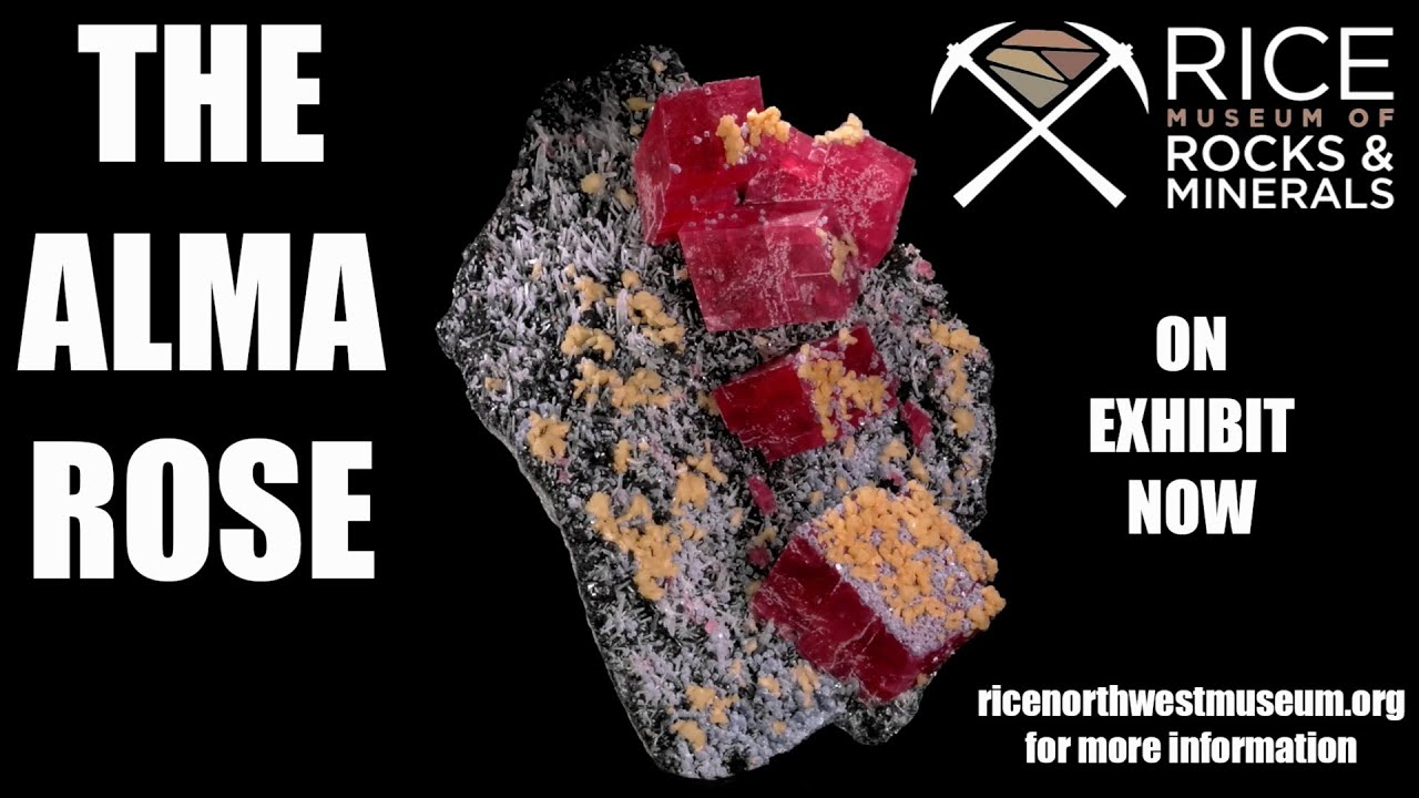 Alma Rose Rhodochrosite Specimen - Sweet Home Mine, CO - Rice Northwest ...