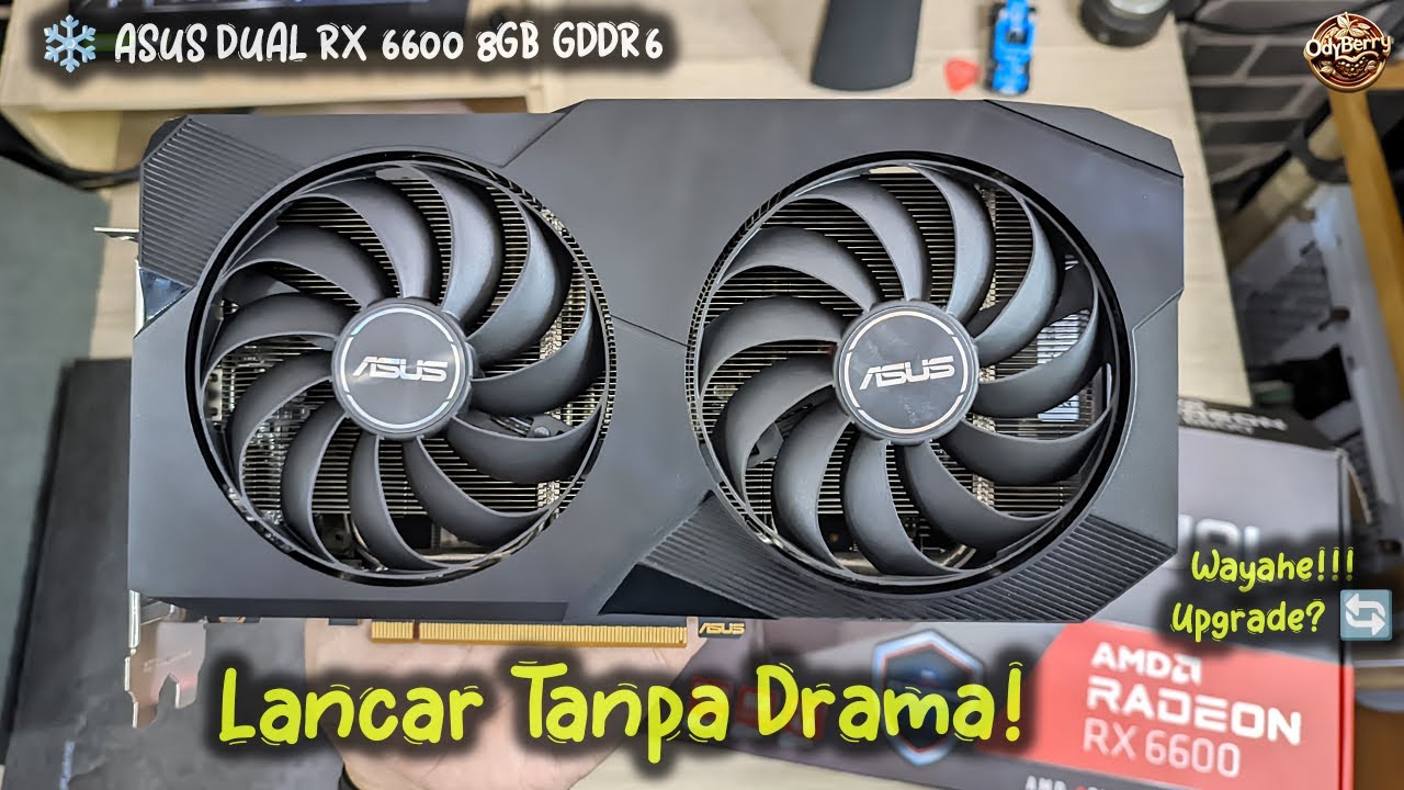 🧊 Tes Pendinginan ASUS DUAL RX 6600 | Dual Fan Adem & Senyap! ️ - YouTube