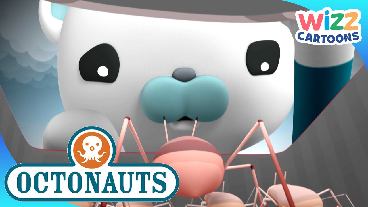 @Octonauts - Small Family Rescues | Compilation | Wizz Cartoons - YouTube