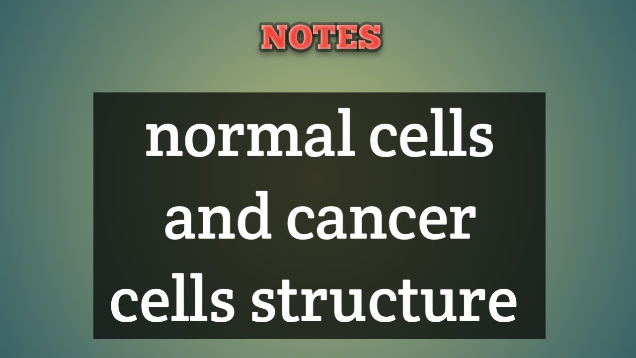 Normal cells and cancer cells structure - YouTube