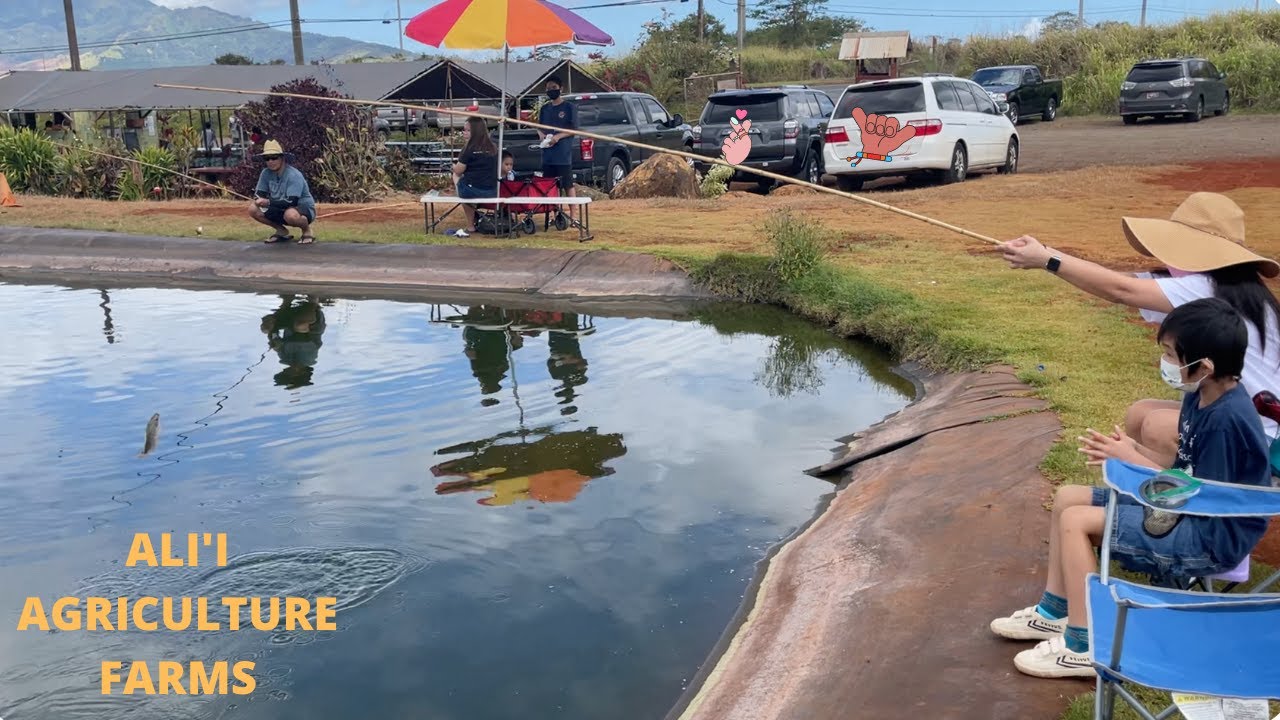 Ali'i Agriculture Farms - YouTube