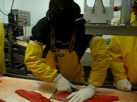 Alaskan Fish Factory - YouTube