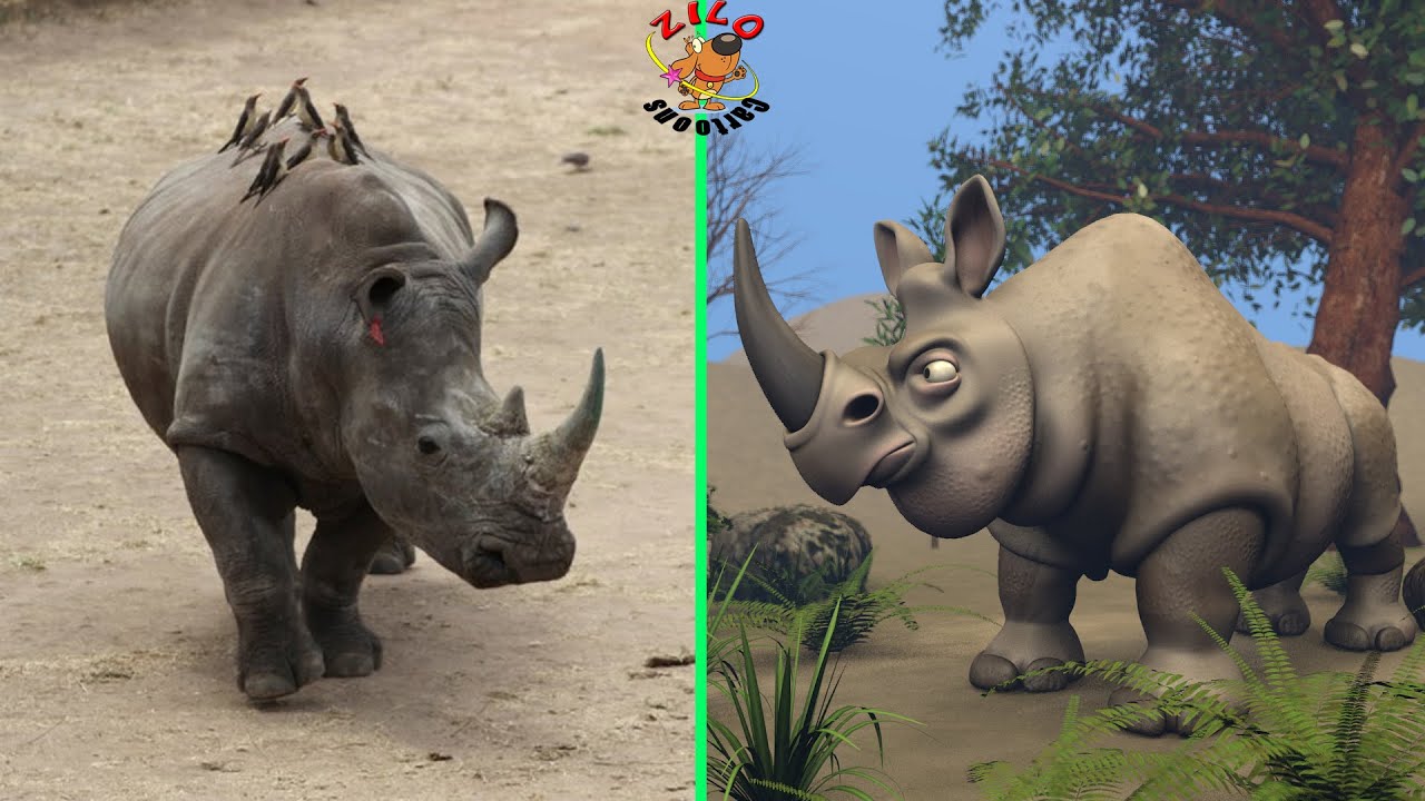 ICE AGE IN REAL LIFE | ICE VIDEO 2020 ZILO CARTOONS - YouTube