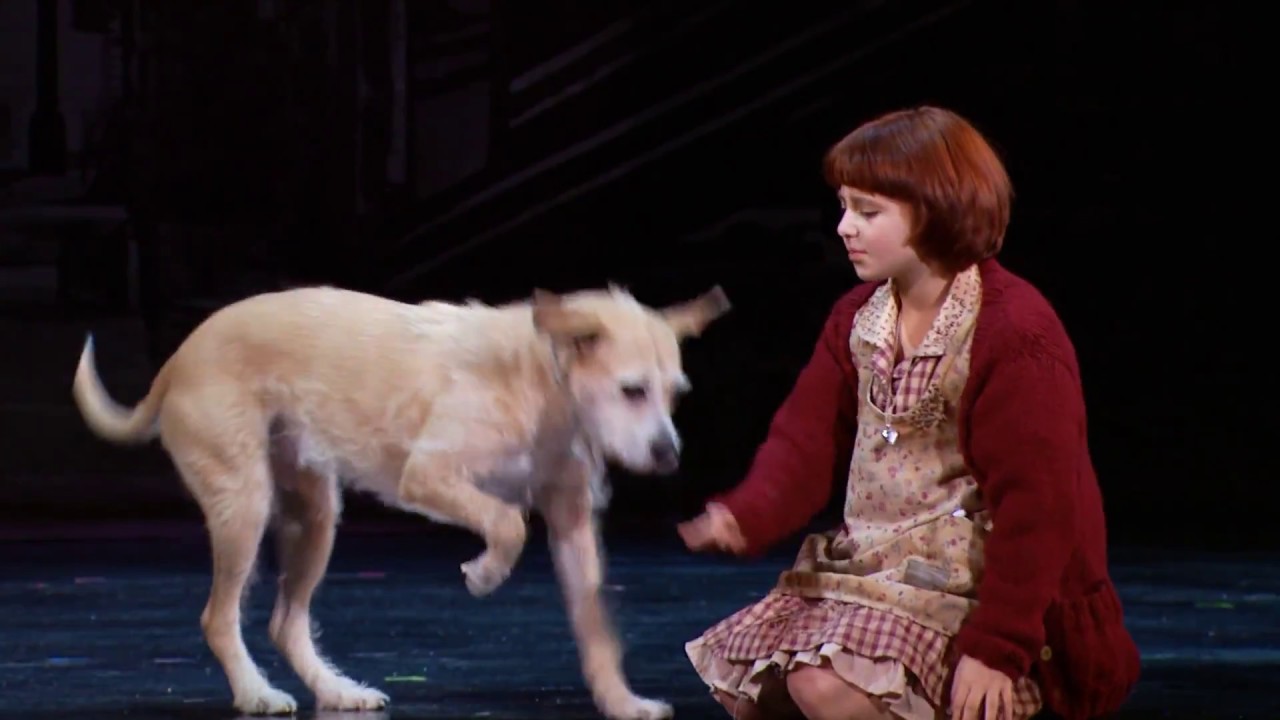 Annie on Tour montage (Broadway Chicago) - YouTube