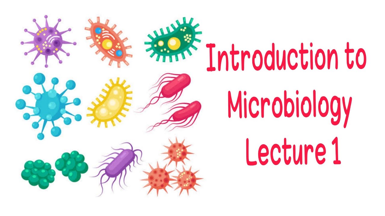 Microbiology World - Introduction to microbiology - lecture 1 - YouTube
