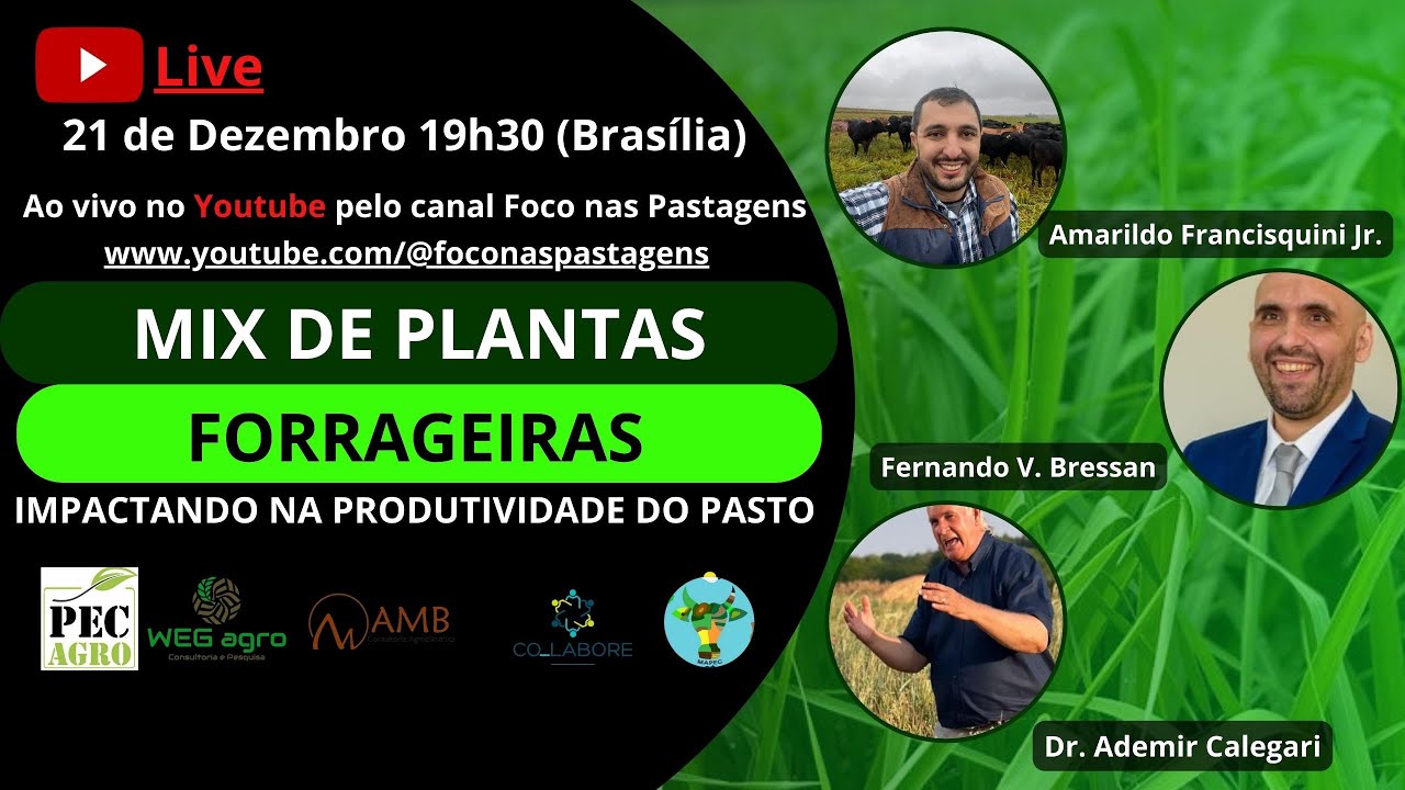 Live #035 - MIX DE PLANTAS FORRAGEIRAS IMPACTANDO NA PRODUTIVIDADE DO ...