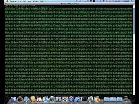 Terminal Matrix Effect+COUNTDOWN TO 2010!!!:) - YouTube