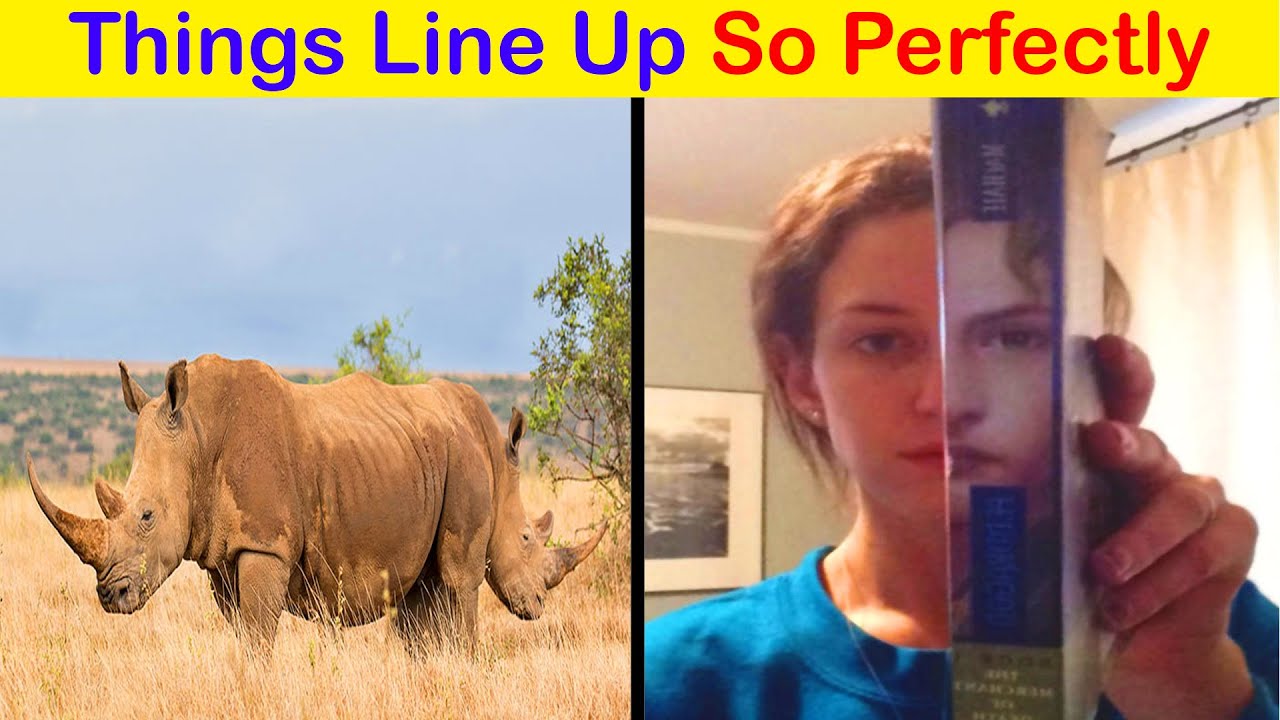 Things That Line Up So Perfectly It Will Satisfy Your Soul (NEW PICS ...