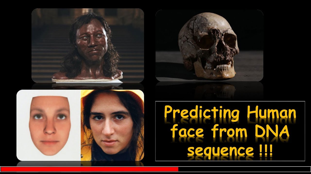 Predicting human face from DNA sequence - YouTube