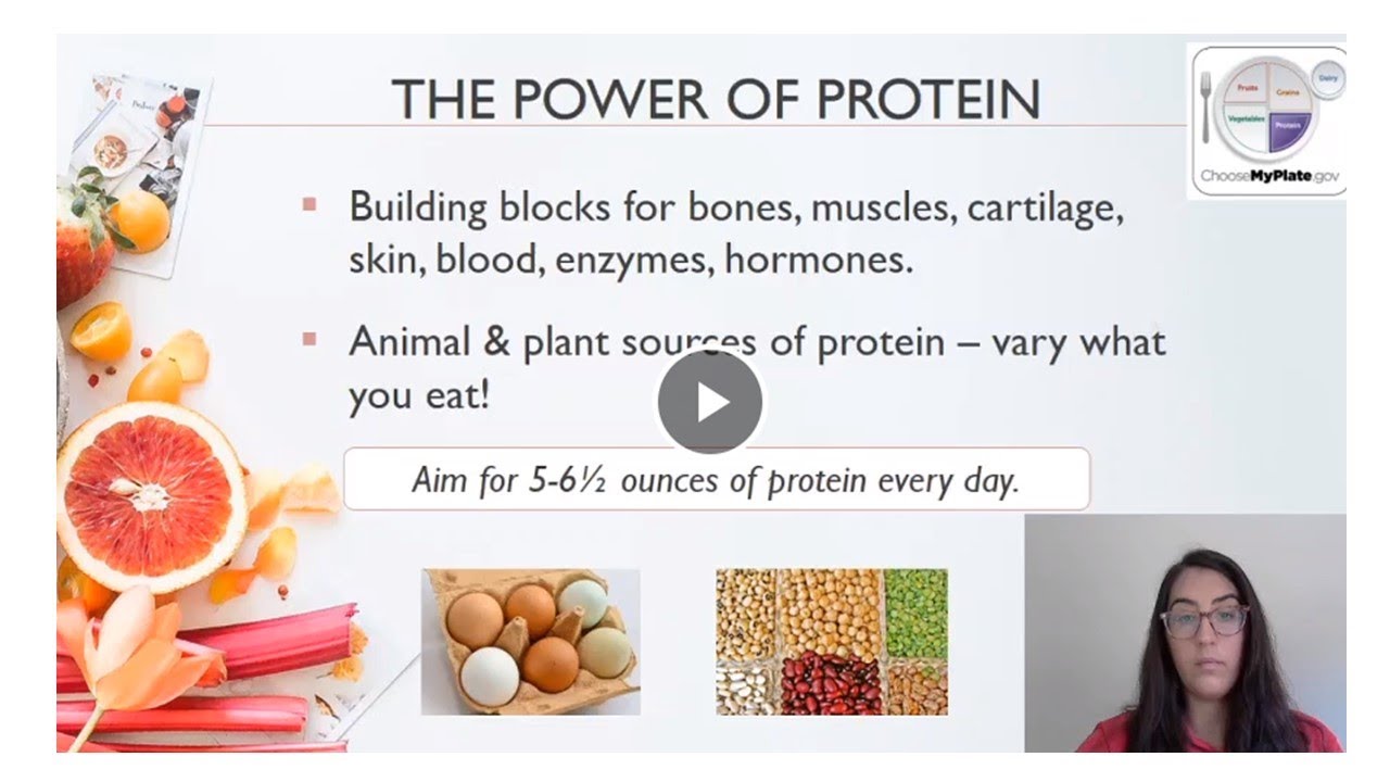 The Power of Protein - YouTube