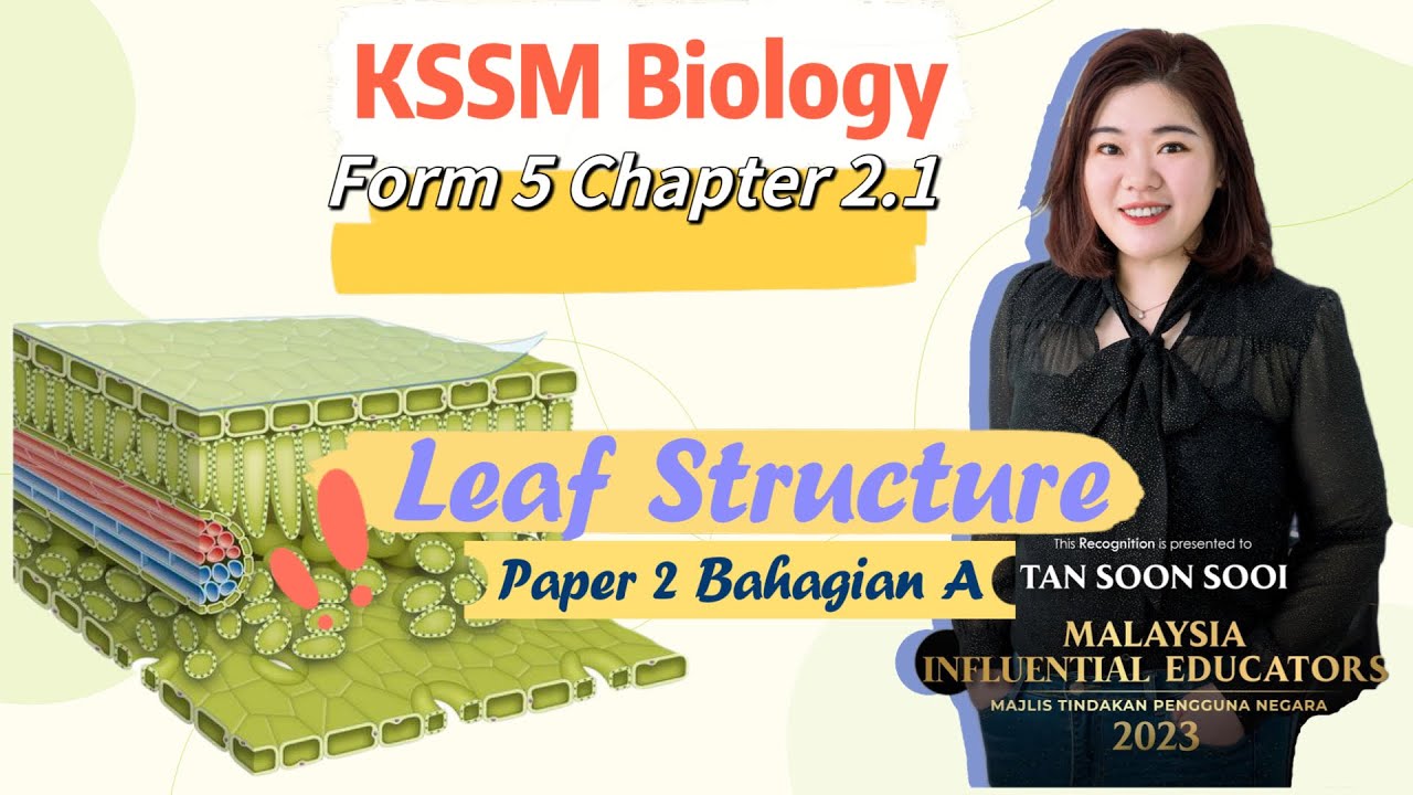 【中文讲解】SPM Form 5 Biology C2.1 Leaf Structure (Question) - YouTube