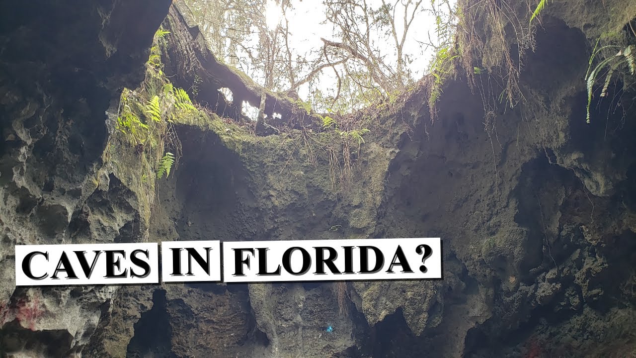 Dames & Peace Caves - YouTube