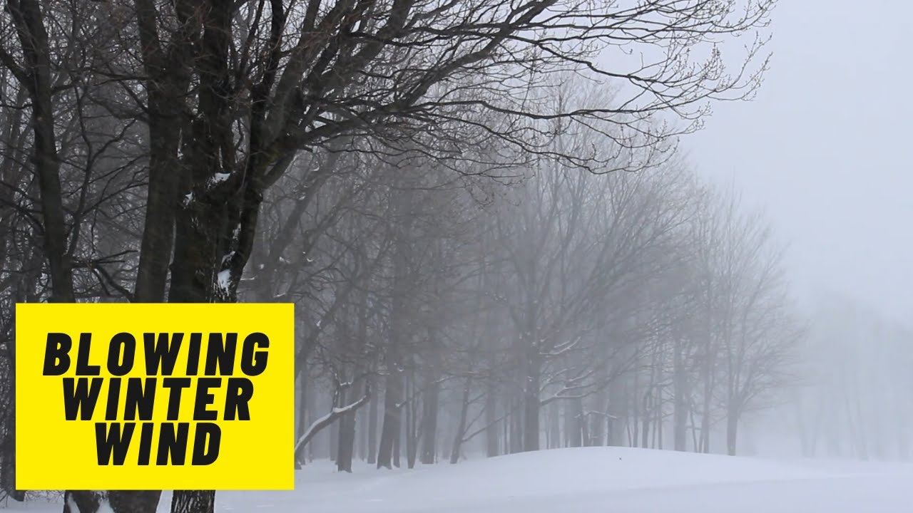 Blowing Winter Wind | Calming Wind Sounds For Focus And Sleep - YouTube