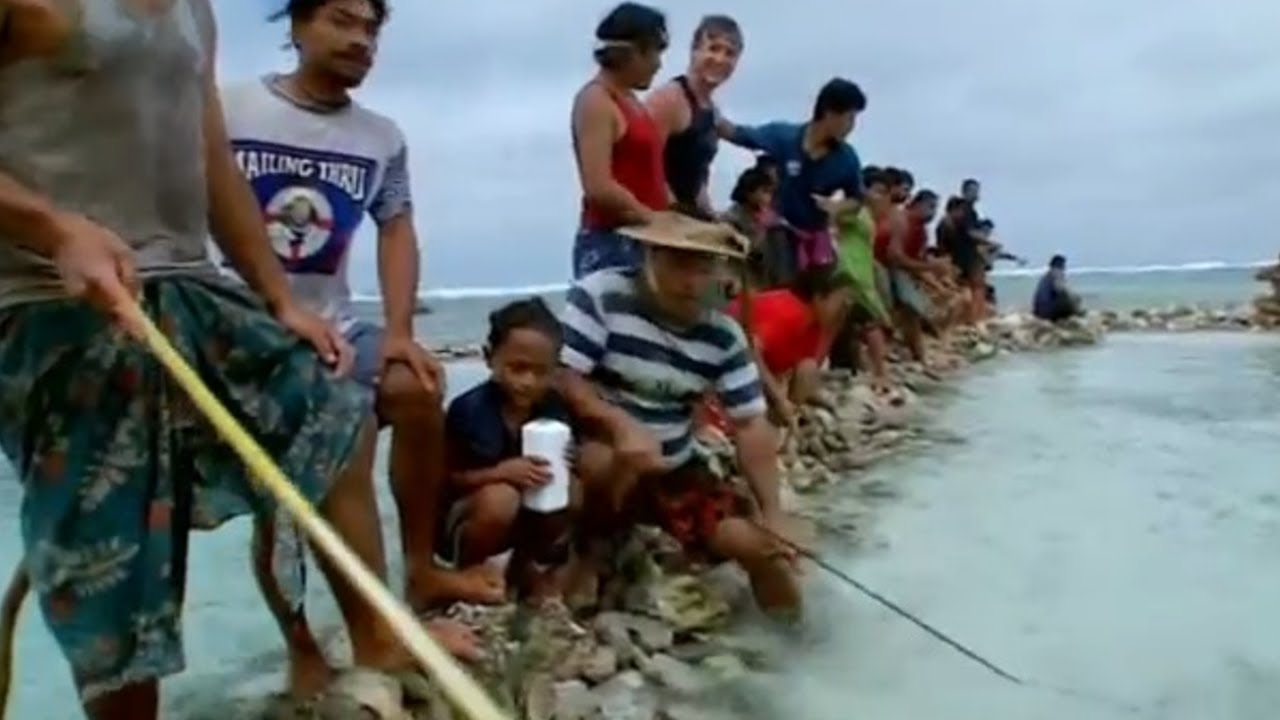 Anuta Community Fish Drive | Tribe with Bruce Parry | BBC Studios - YouTube