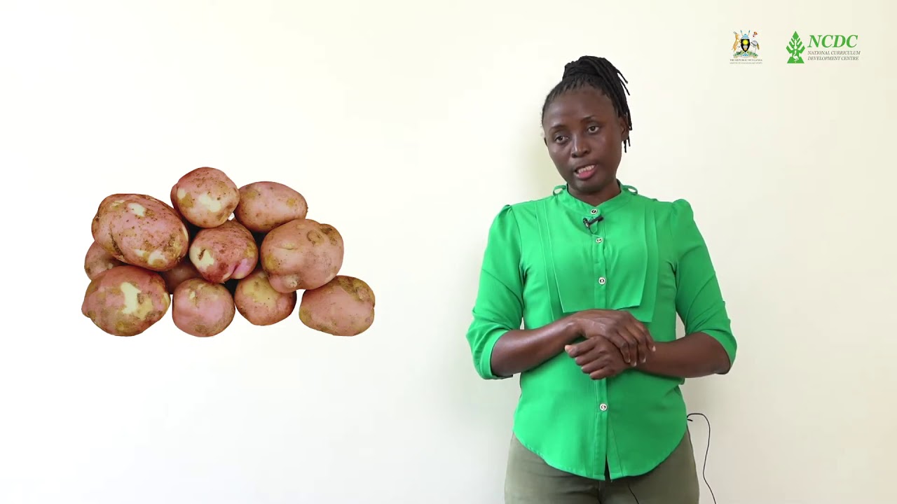 Uganda Sign Language, Signing Foods Stuff 1080p - YouTube