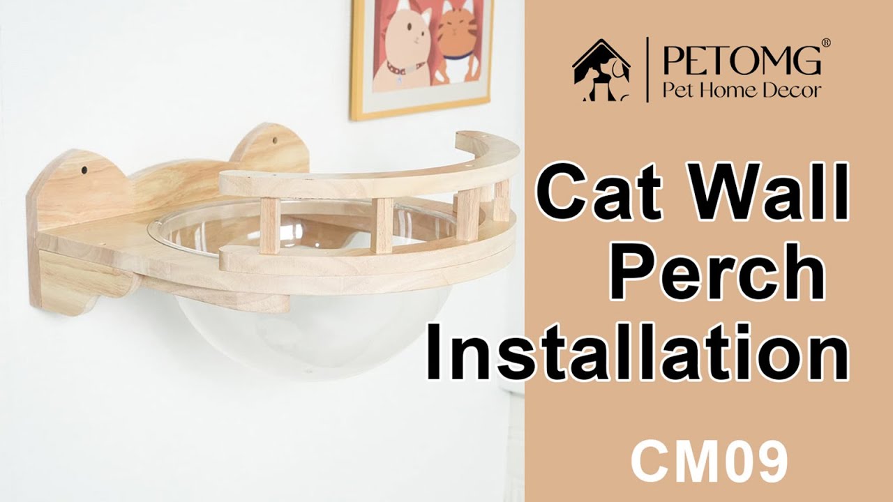 CM09 Installation Steps | Wooden Cat Wall Perch | PETOMG - YouTube