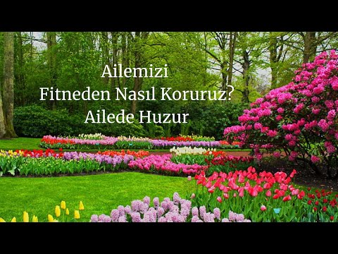 Ailemizi Fitneden Nasıl Koruruz?, Ailede Huzur