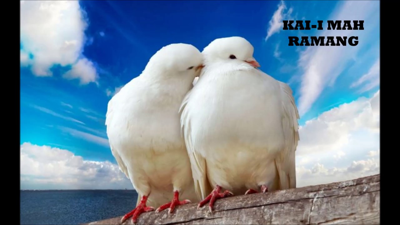 MANUK ACANG - YouTube