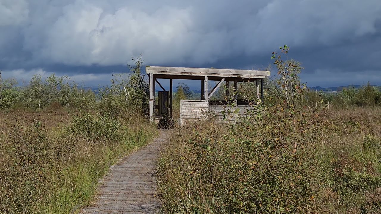 Foulshaw Moss nature reserve - YouTube