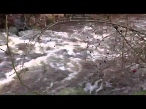 Wildwasser Hache in Syke