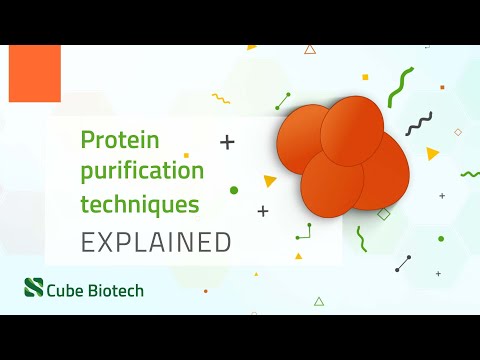 Why Is Purification Of Enzymes Important