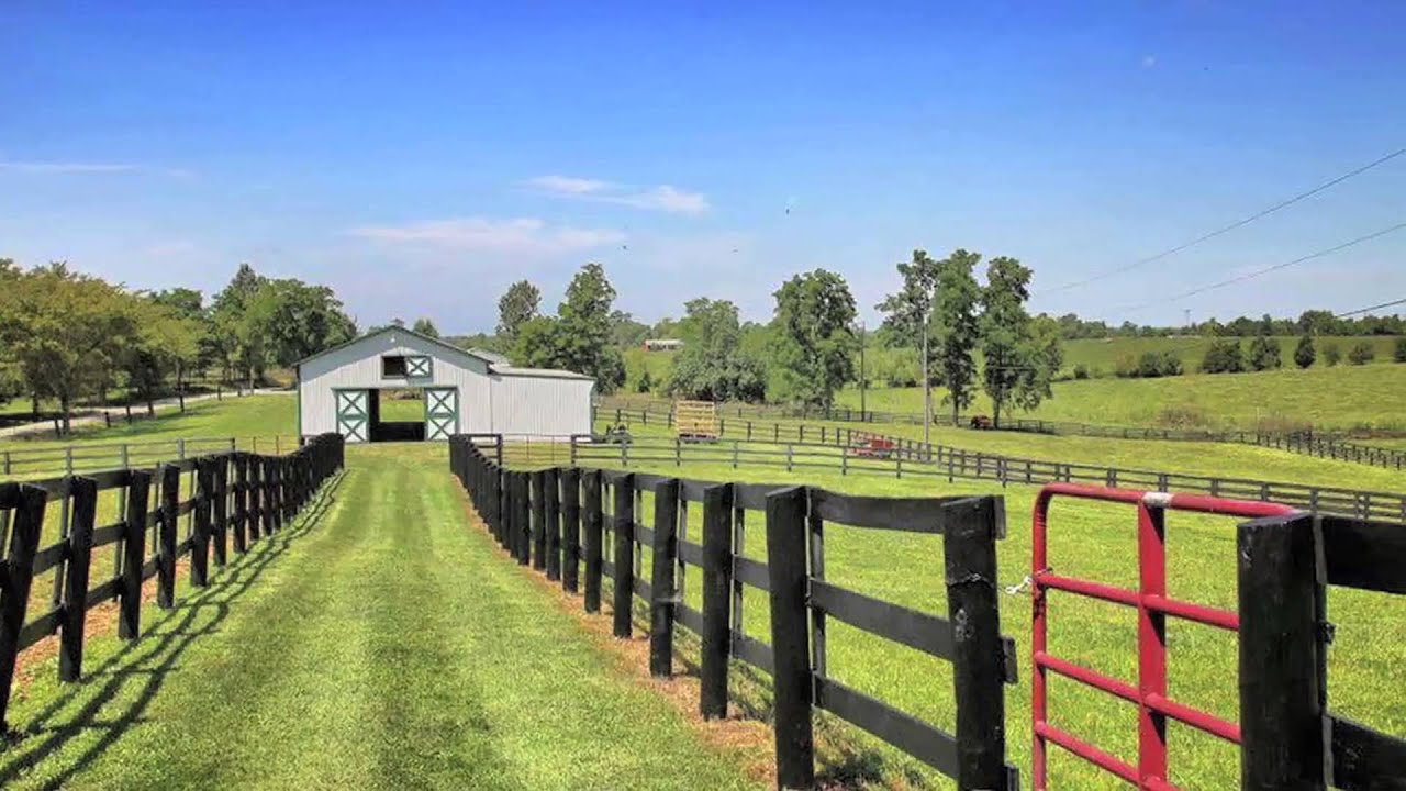 Dunn Hill Farm - YouTube