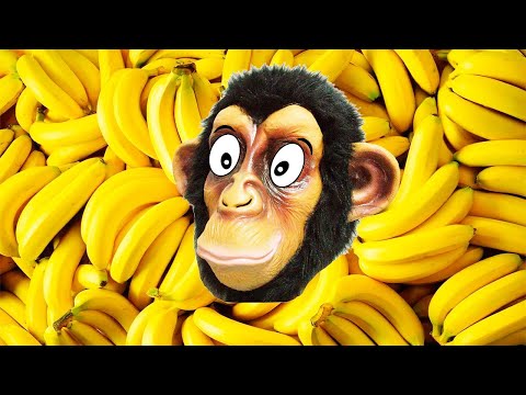 Maymun Ailesi Şarkısı | Baba Maymun | Çocuk ve Bebek Şarkıları | Baa Bee TV